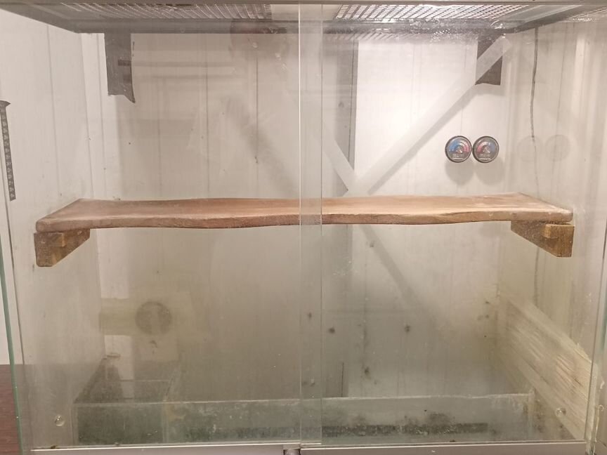 Террариум огромный