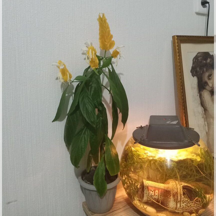Крышка для круглого аквариума