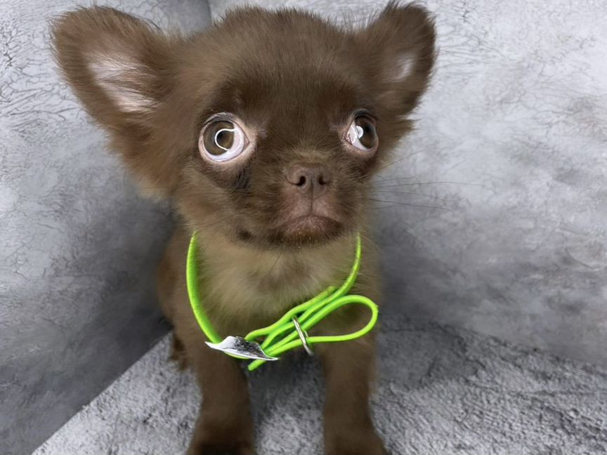 Super mini малыш