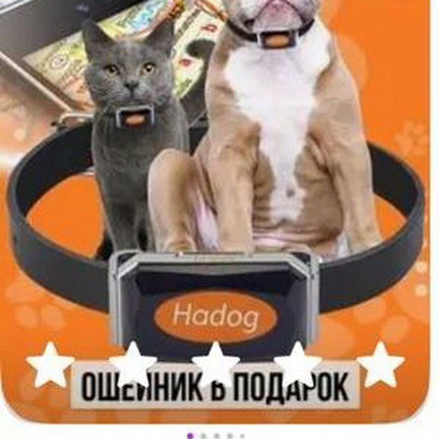 Gps ошейник