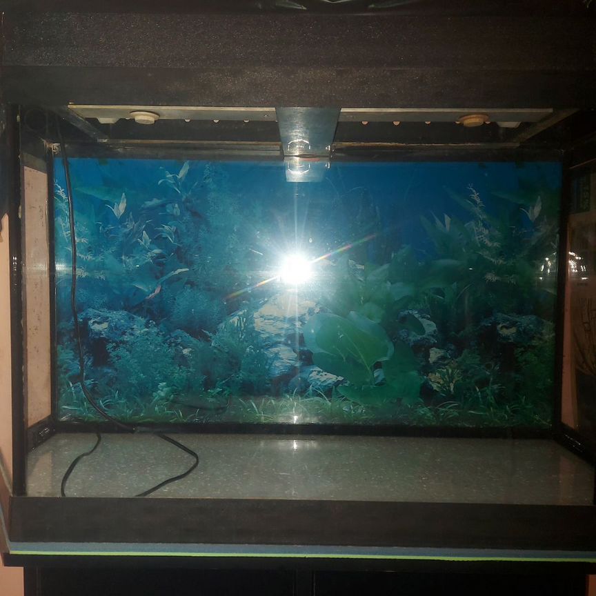 Аквариум с тумбой бу 160литров