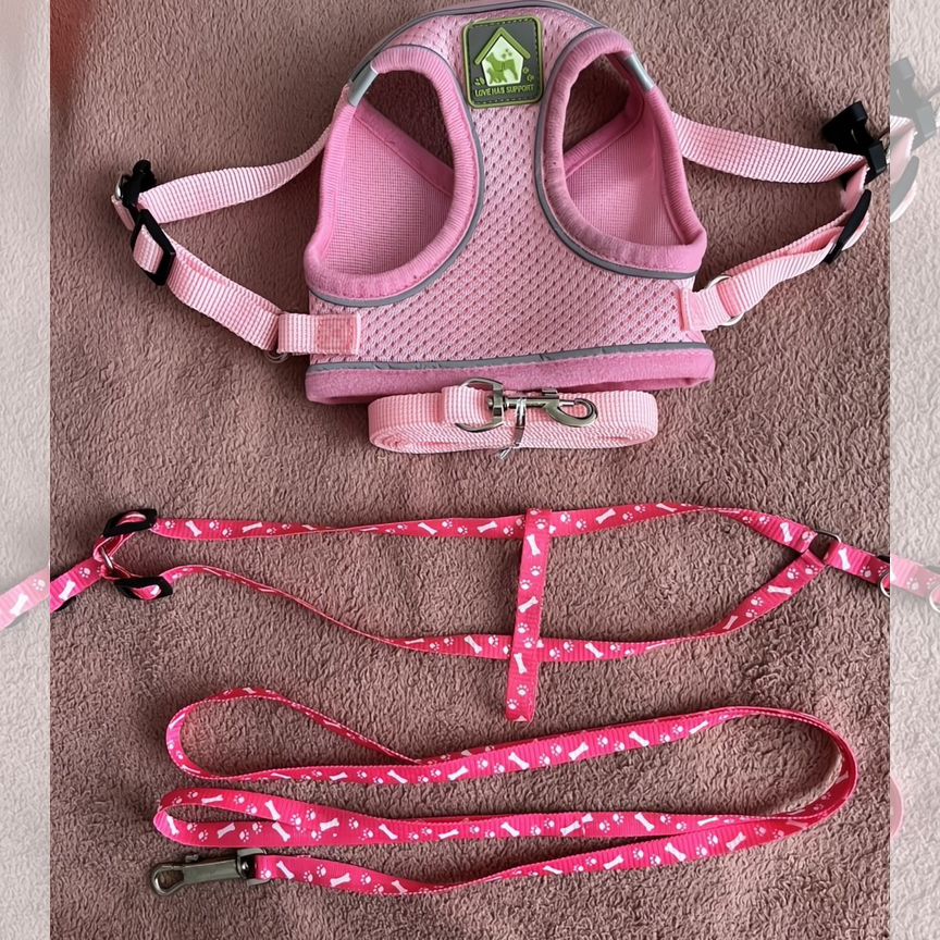 Шлейка для маленькой собаки