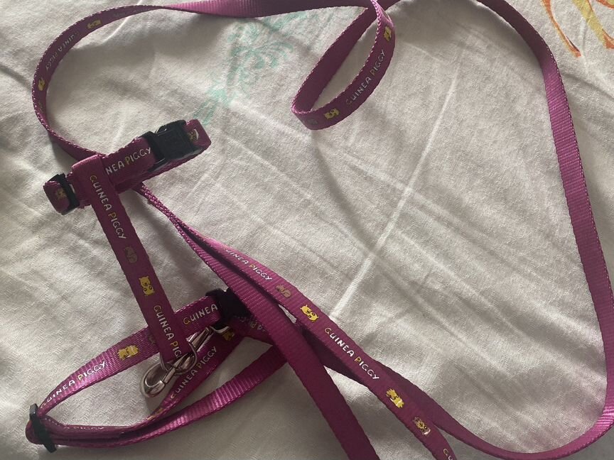 Шлейка для морской свинки