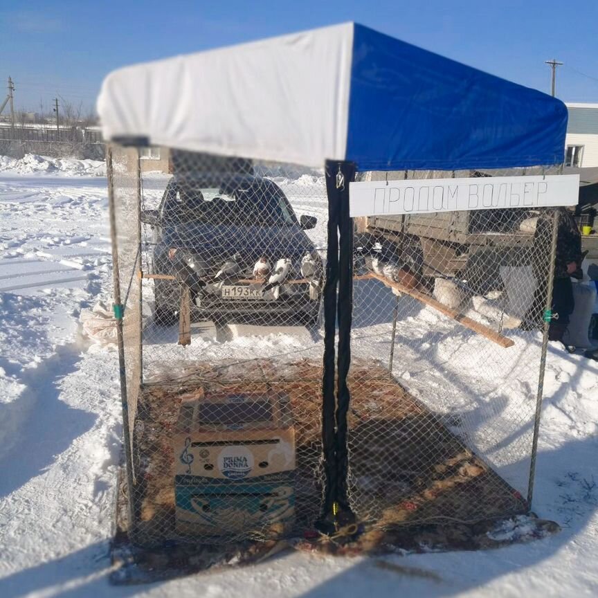 Вальер для торговли голубями