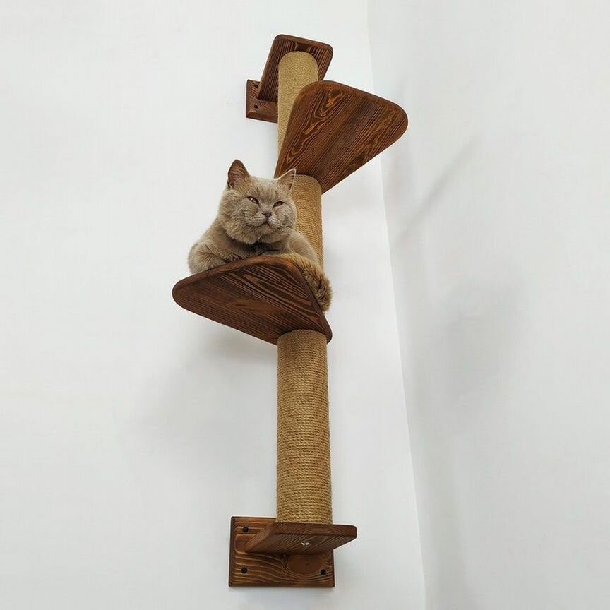 Лазалка для кошек