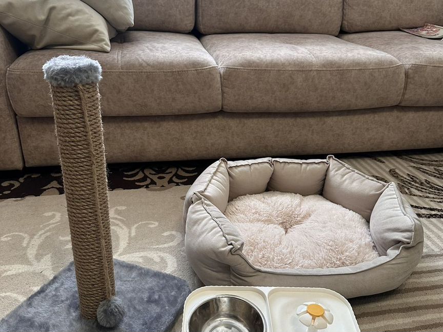 Фонтан поилка для кошек, лежанка, когтеточка