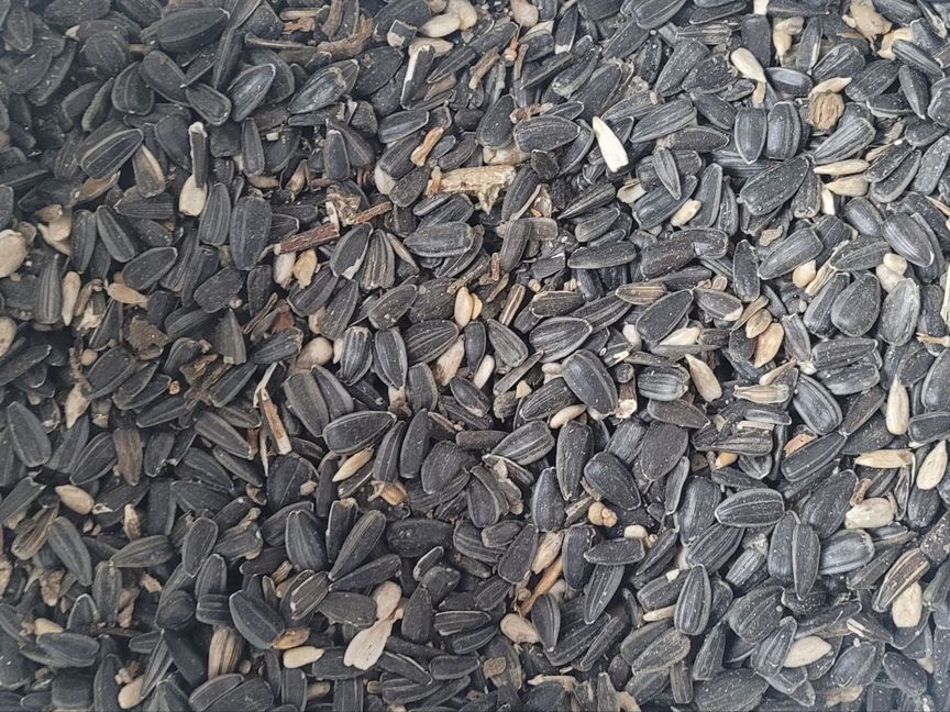 Семечка Доставка