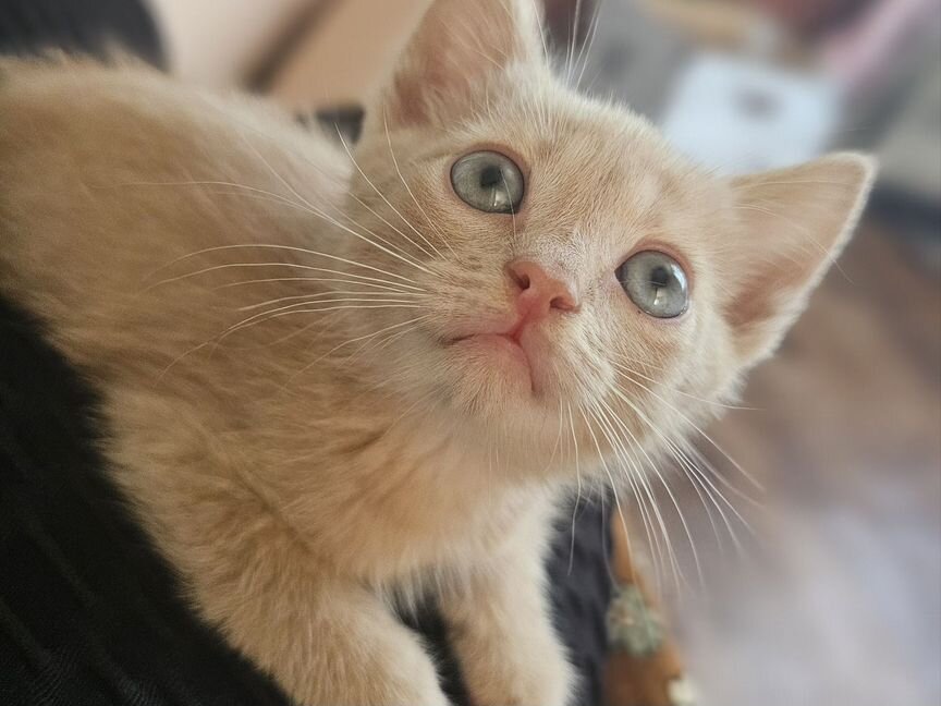 Красавчик мальчик 1 месяц