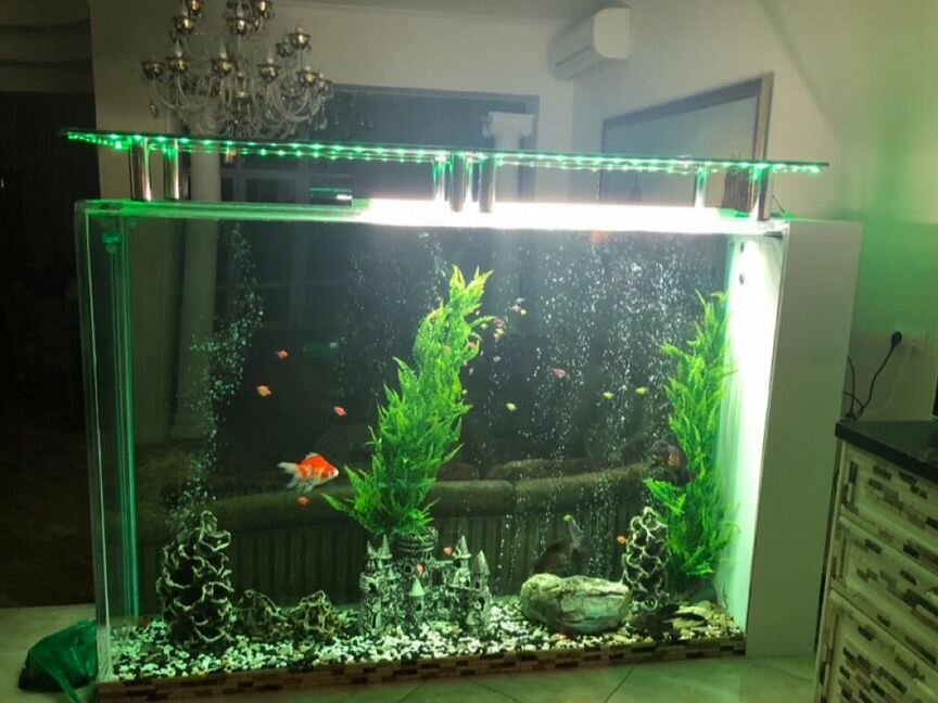 Аквариум с рыбками