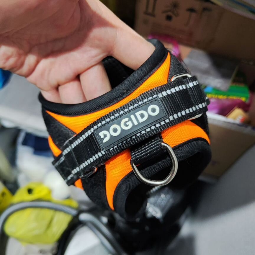 Шлейка для собаки Dogido