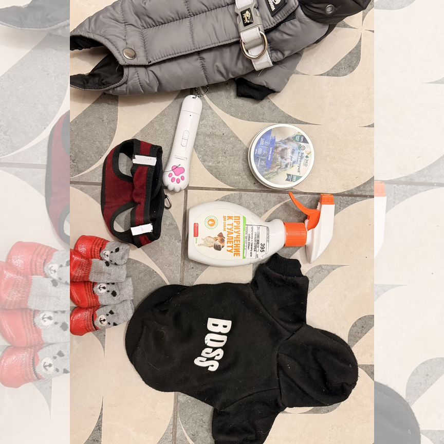 Одежда и аксессуары для собак