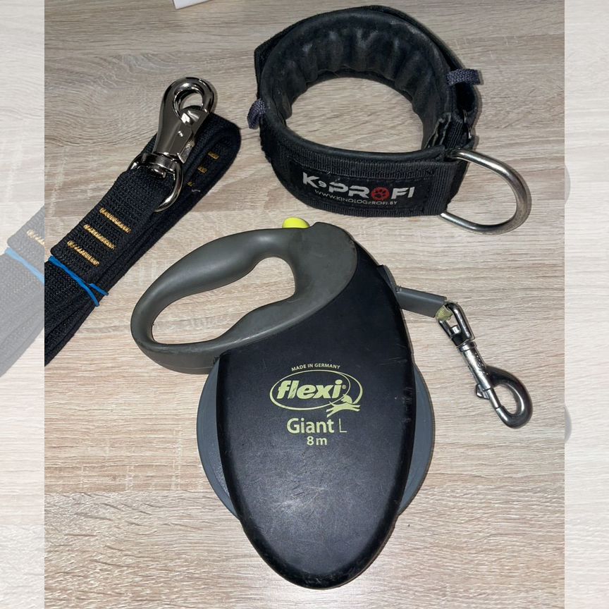 Ошейник поводок рулетка для собак, амуниция