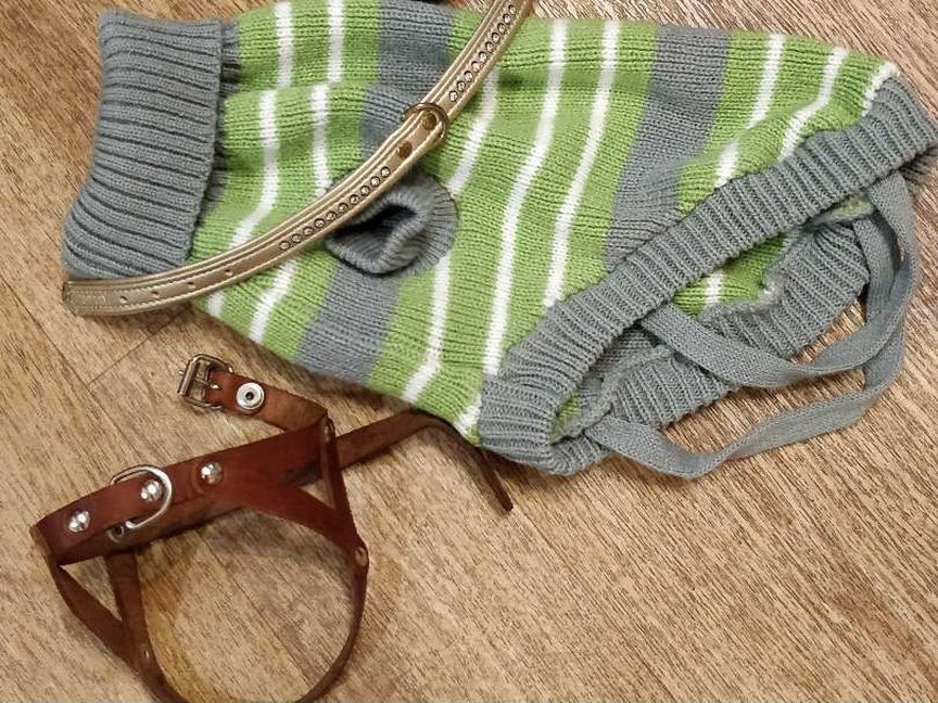 Для маленьких собак или кошек