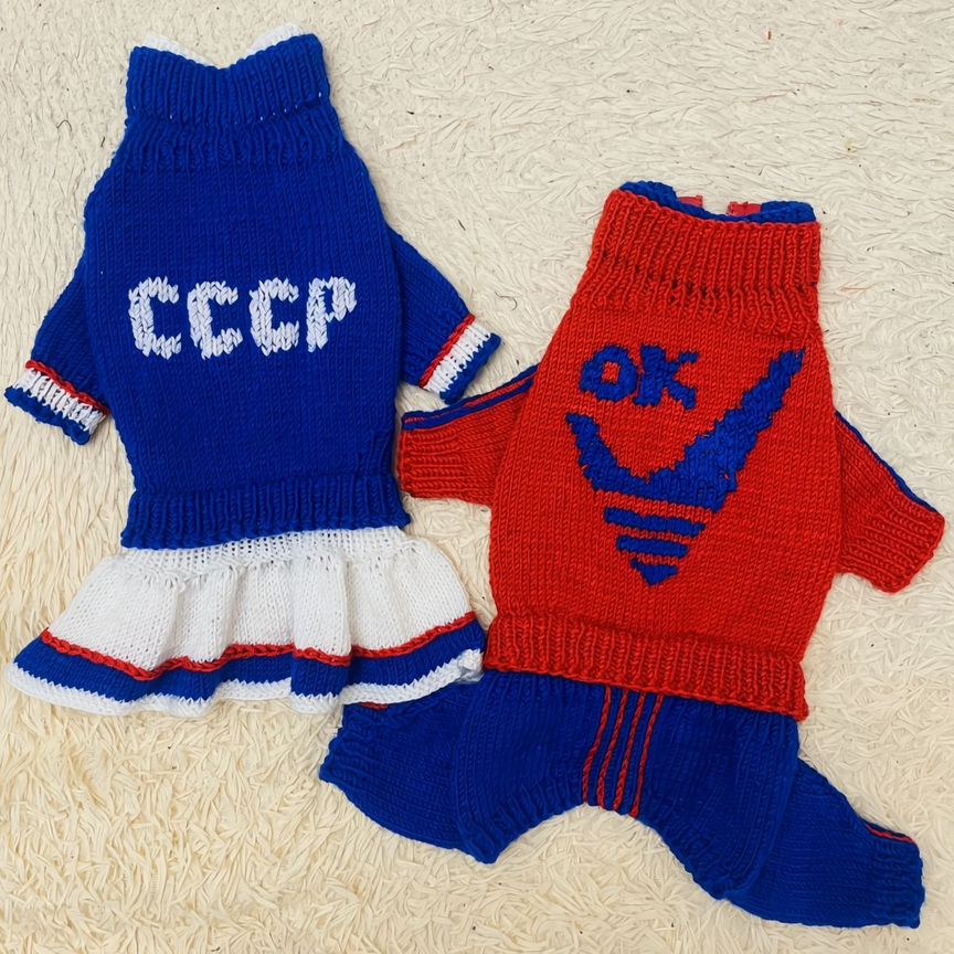 Вязанный спортшик для собак мелких пород