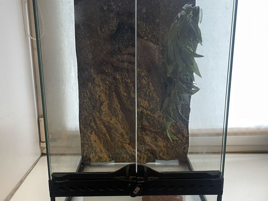 Террариум 30х30х45 см в отличном состоянии