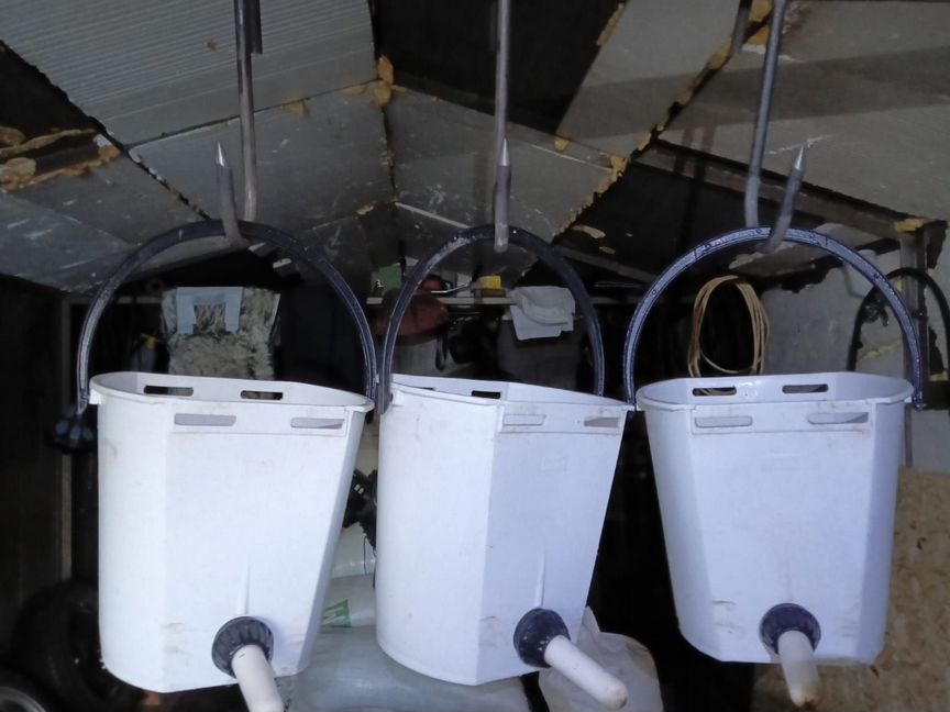 Ведра для выпойки