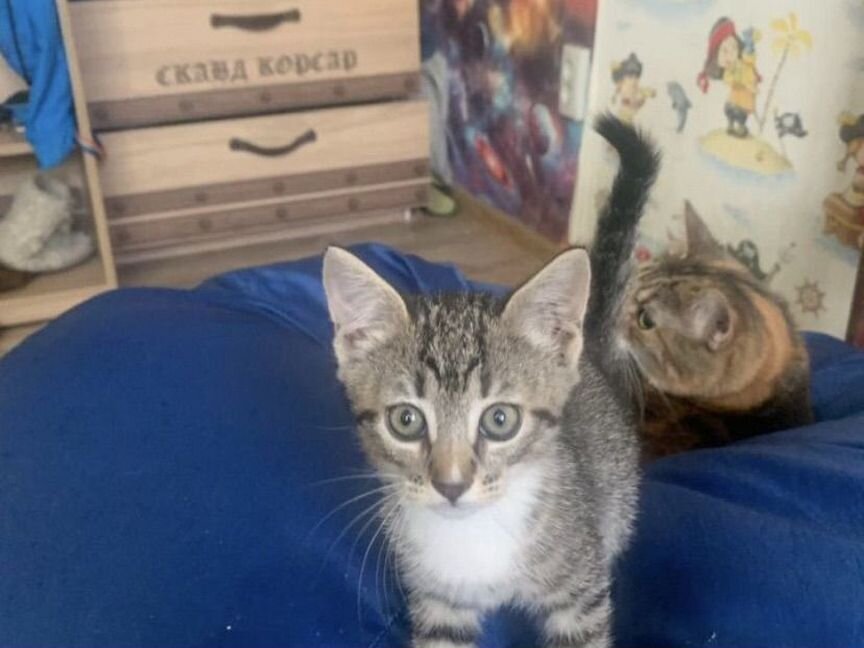 Чудные мальчишки