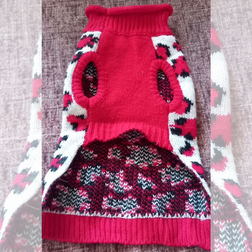 Одежда для маленьких собак