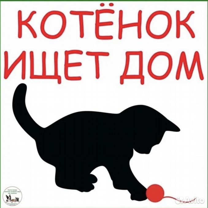 Я хочу найти свою семью