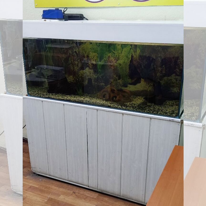 Аквариум с декором 270 литров