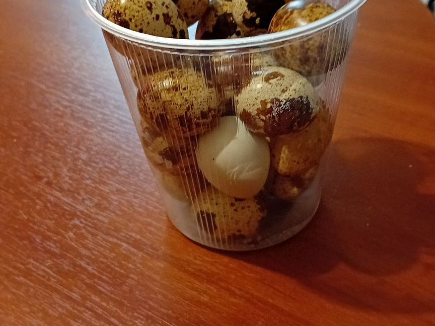 Перепелки несушки