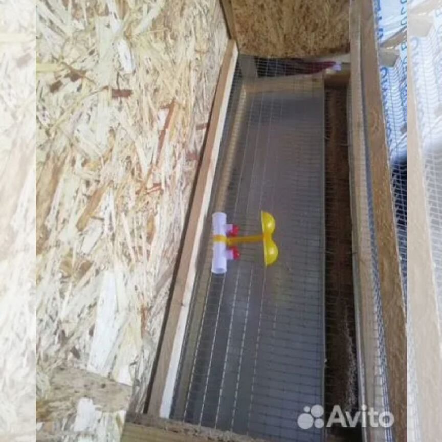 Клетка для перепелок 20 голов