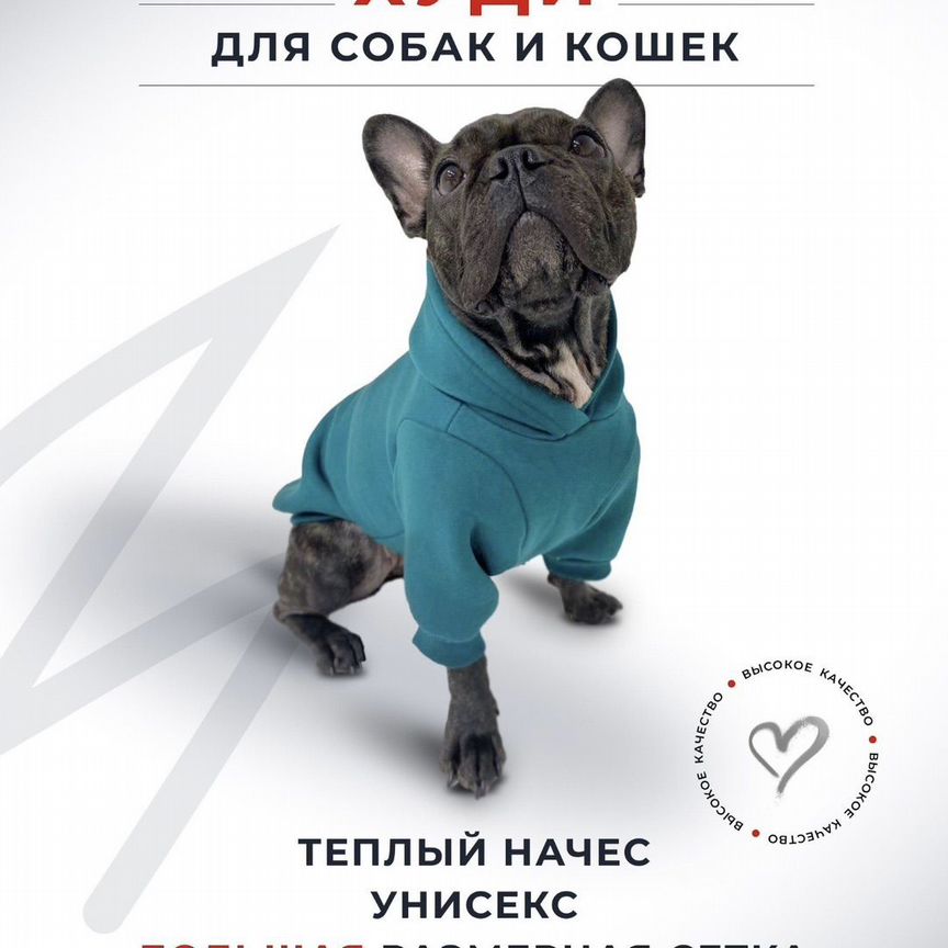 Толстовка для собак