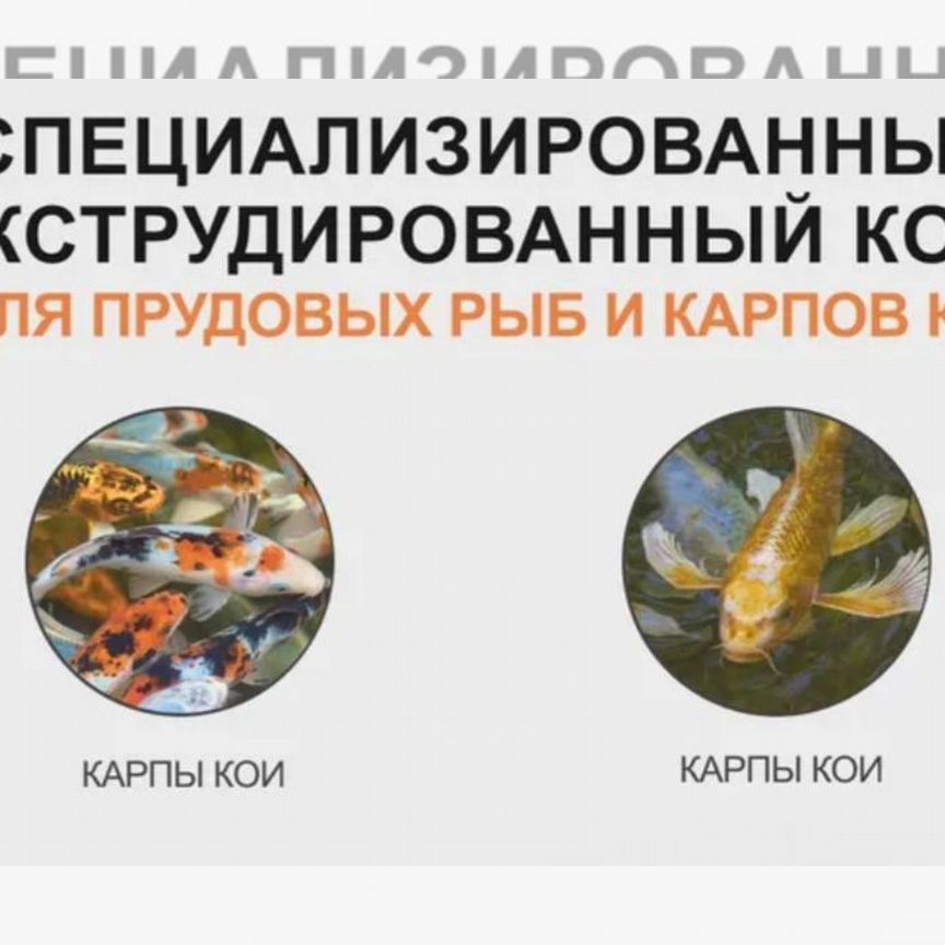 Корм для карпа кои и всех видов рыб