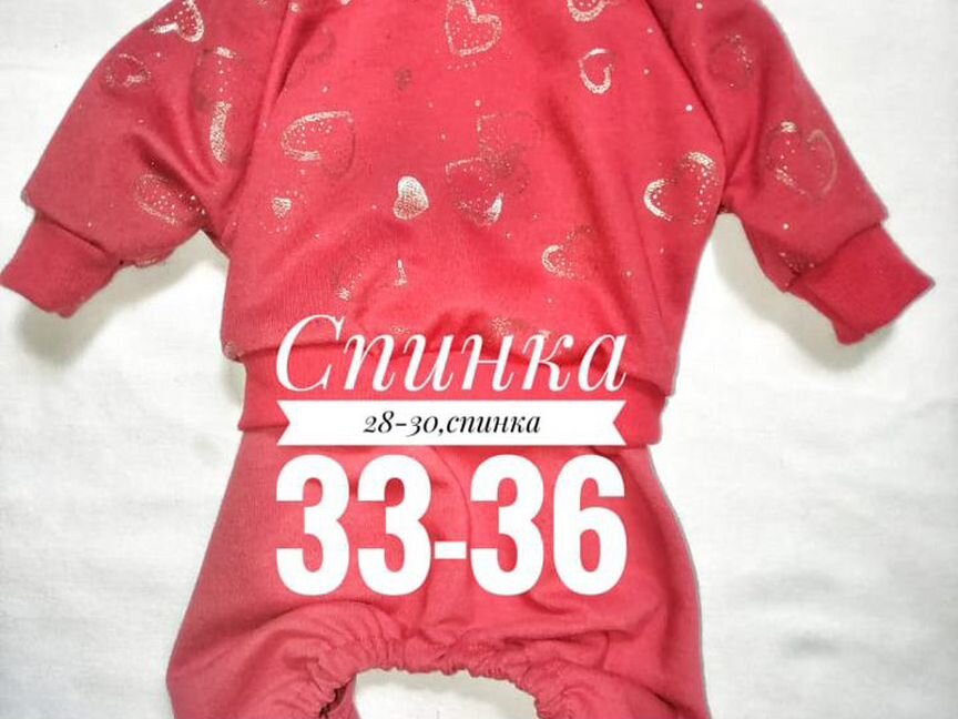 Одежда для собак