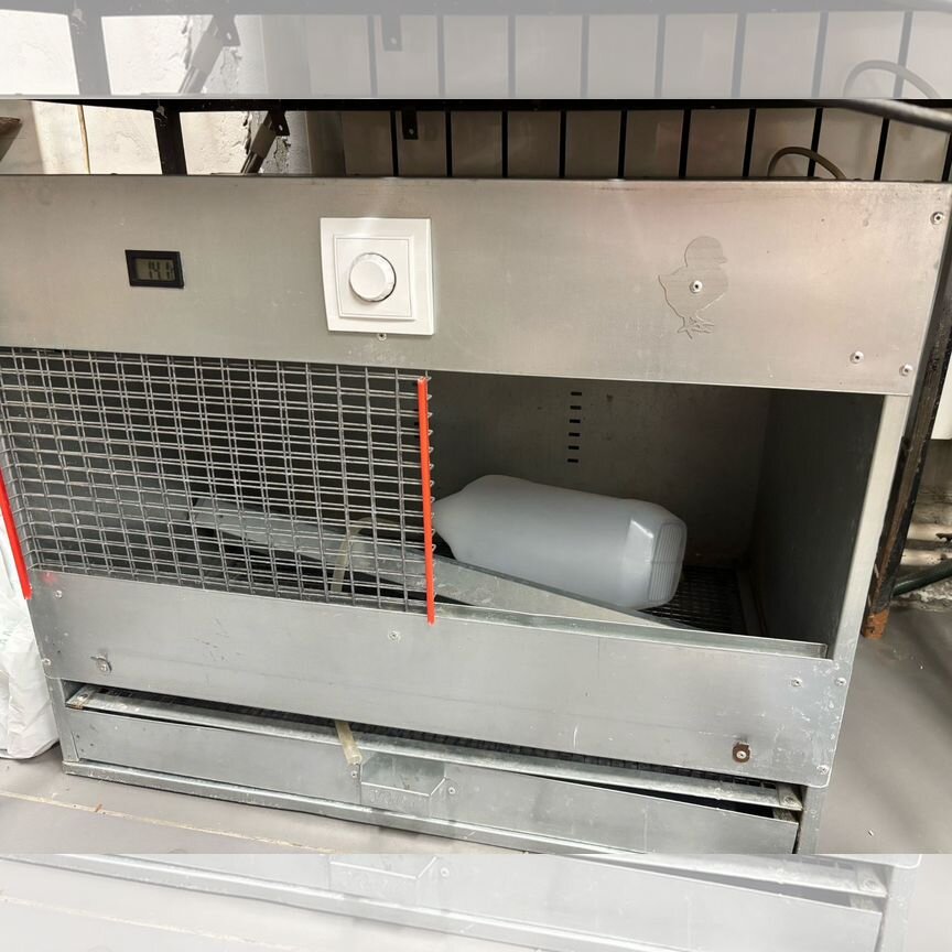 Брудер для цыплят