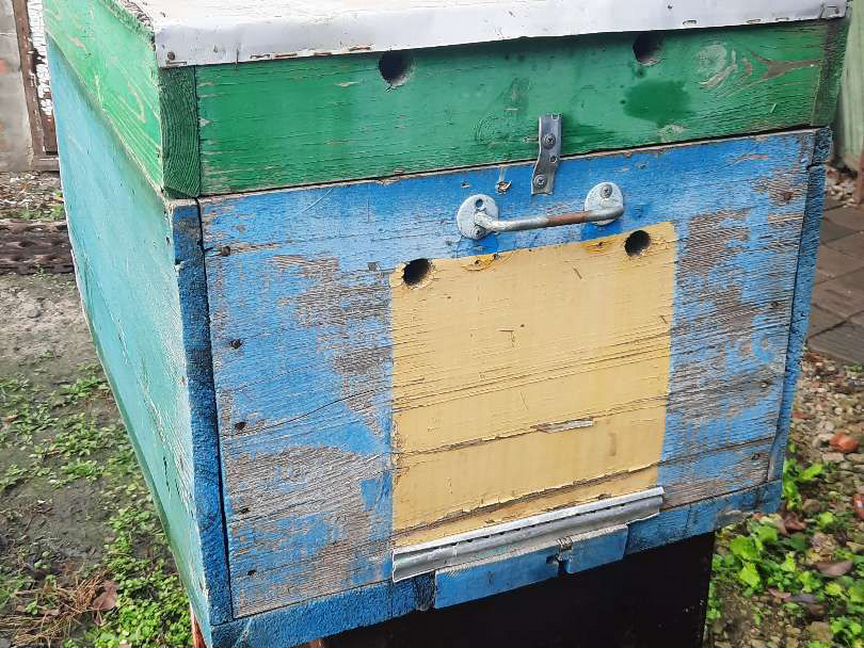 Улей и ведра