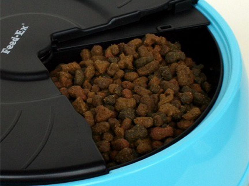Автоматическая кормушка