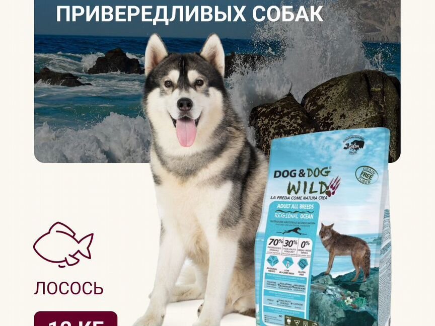 Сухой корм Dog&Dog Wild Regional Ocean с лососем