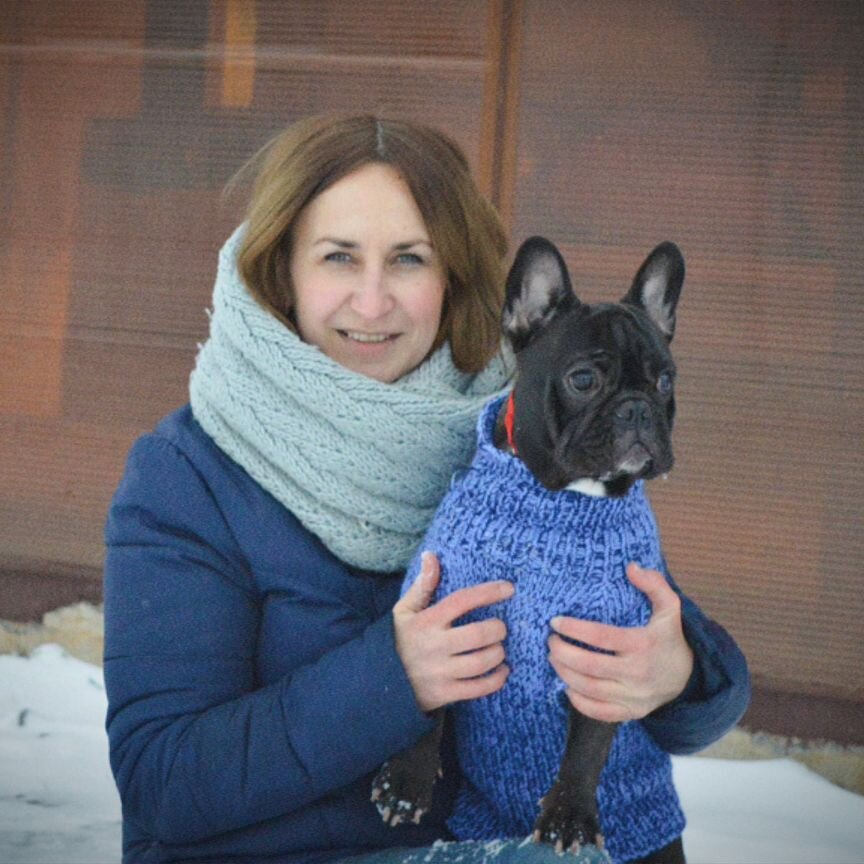 Французский бульдог