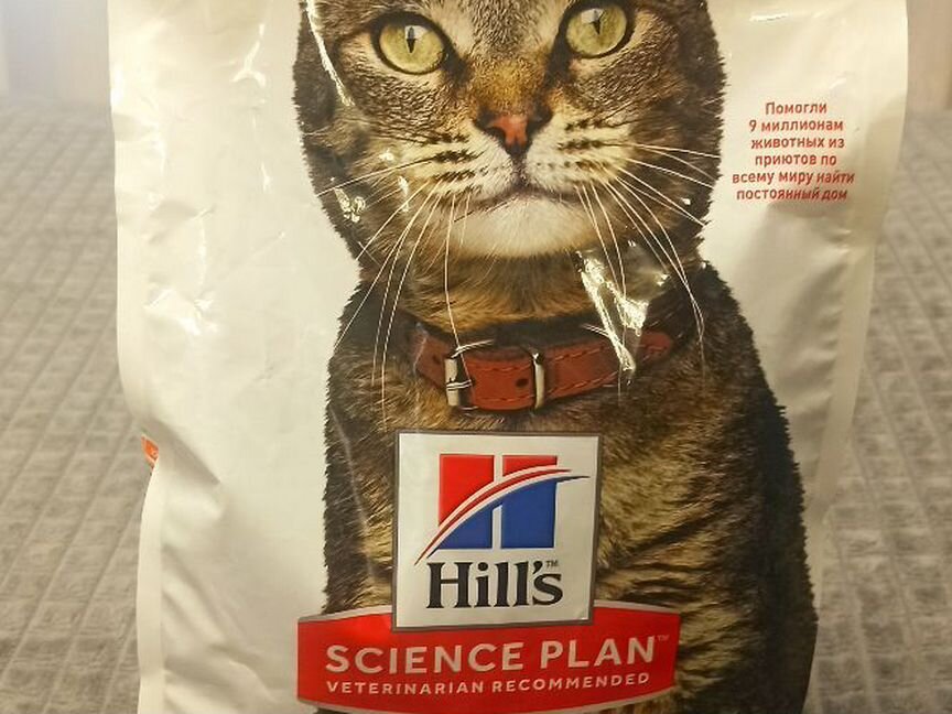 Сухой корм для кошек hills