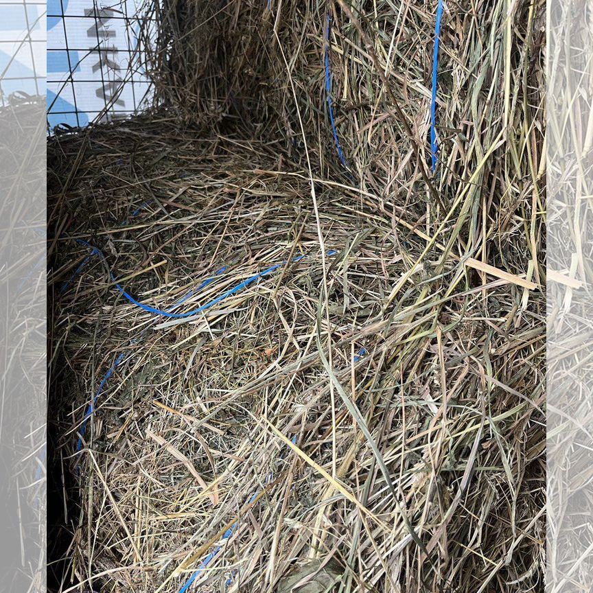 Сено луговое разнотравье