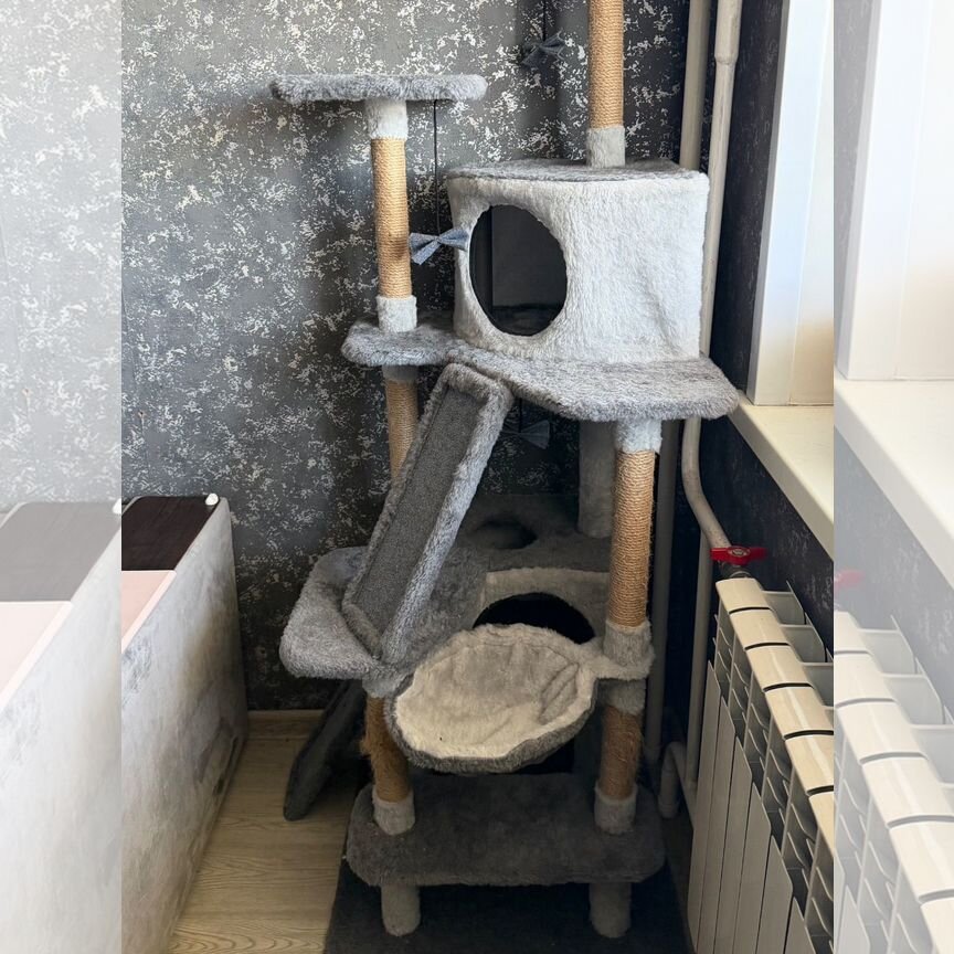 Когтеточка