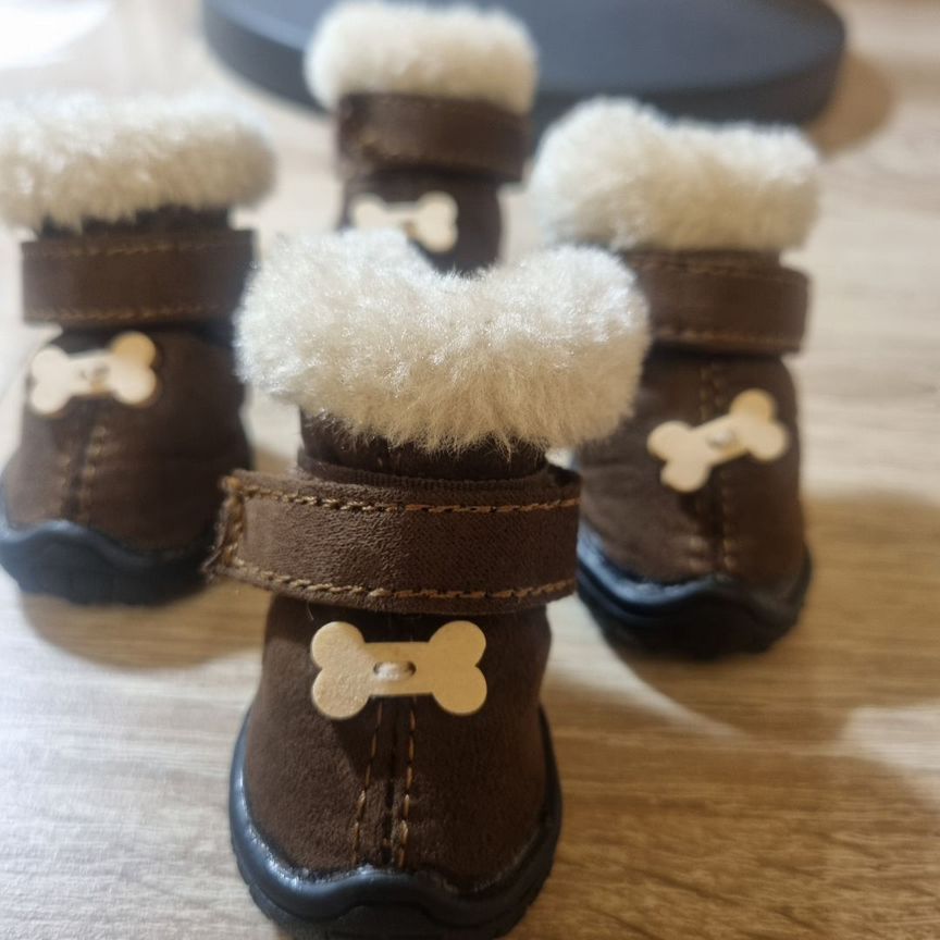 Зимняя обувь для маленькой собачки