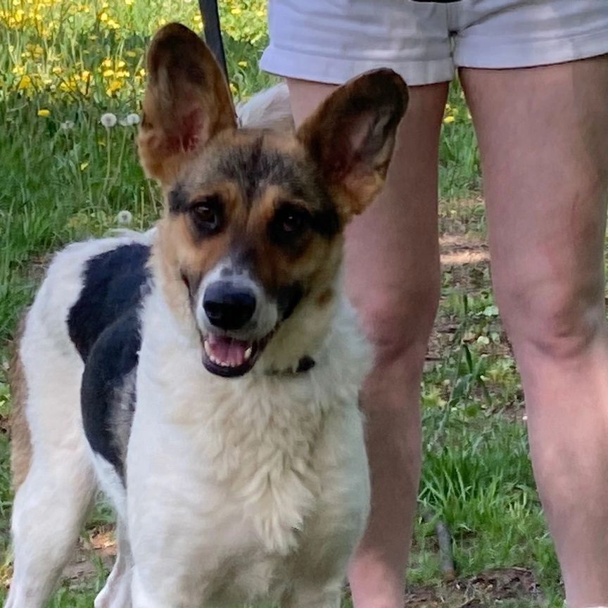 Дина ищет семью