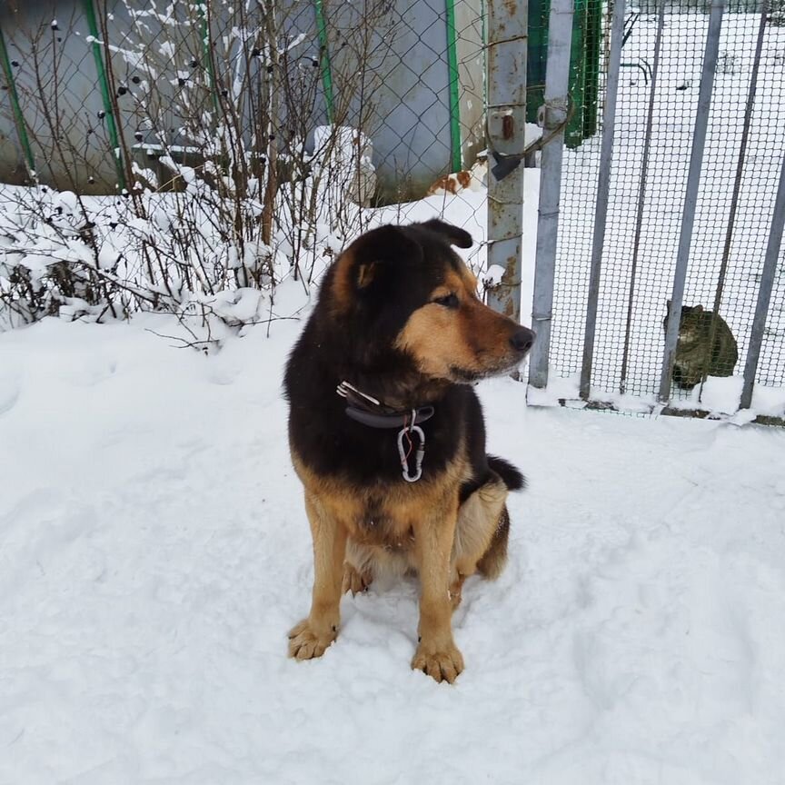 Девочку предали дважды