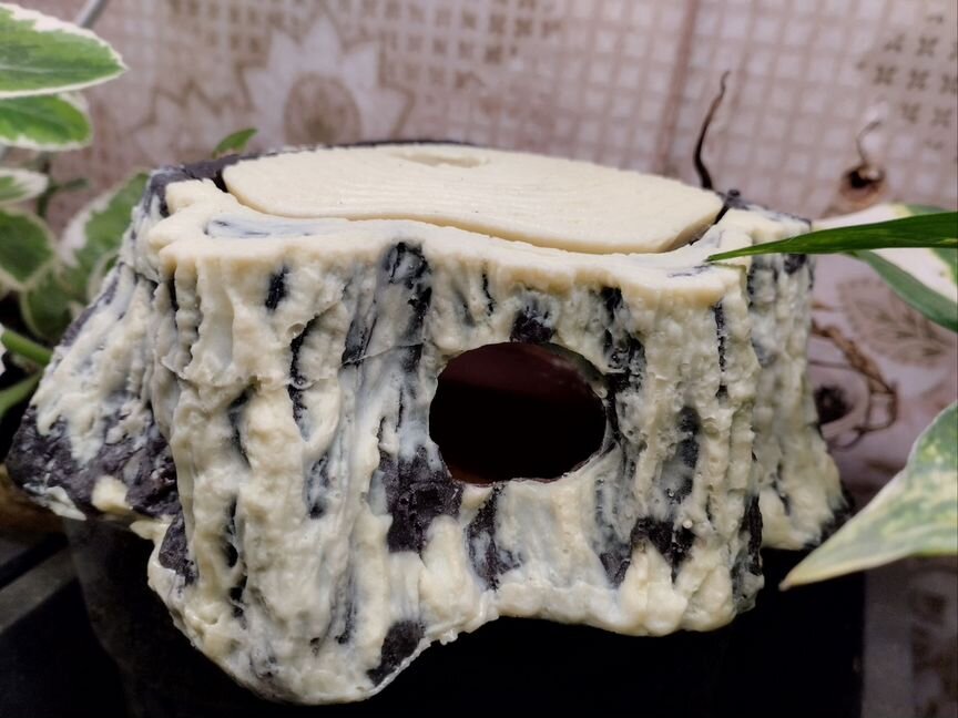 Домик для ящерицы