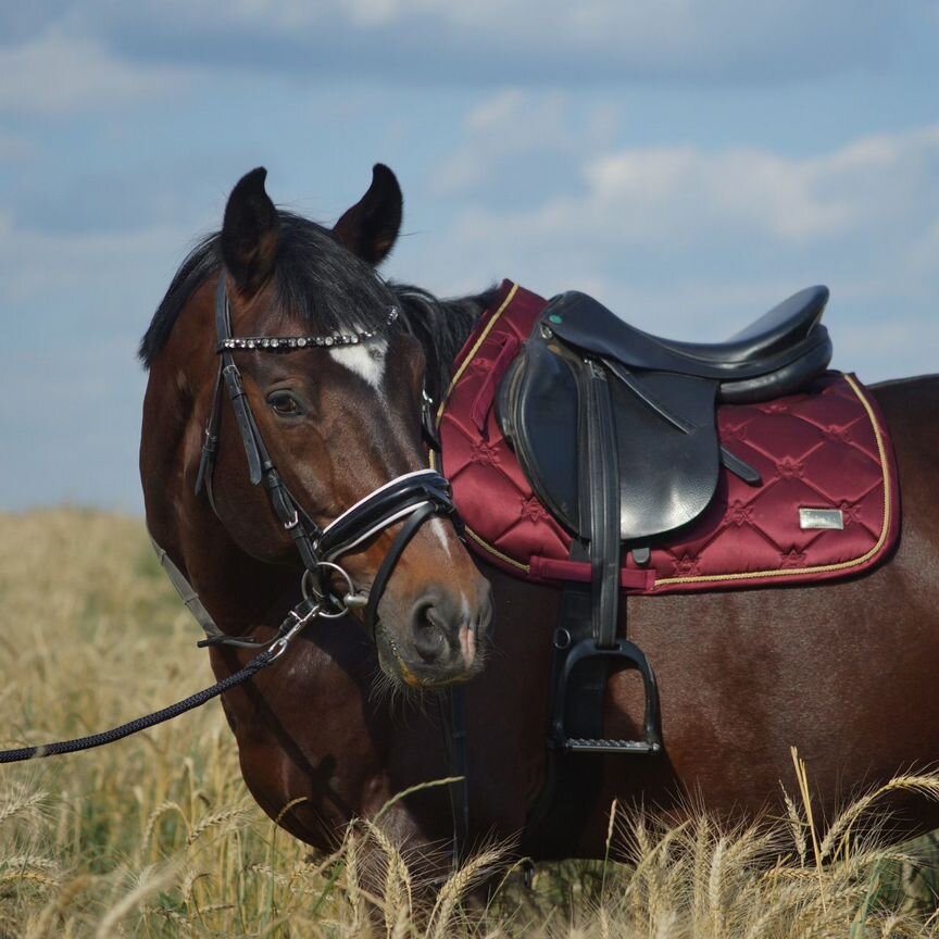 Конкурный вальтрап