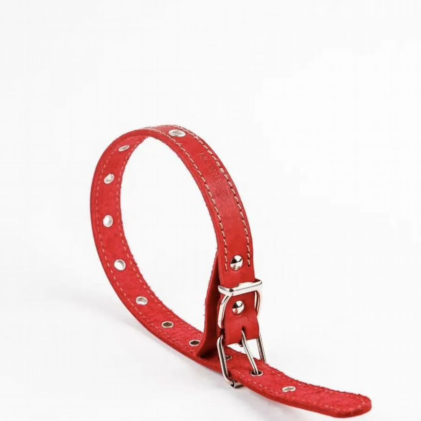 Комплект для собак