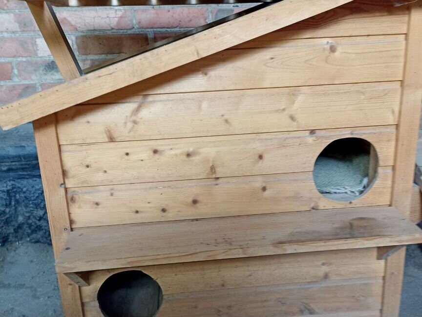 Котодом