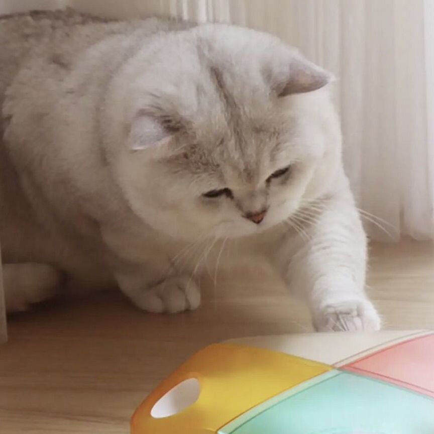 Игрушка с перьями для кошки Lansi World