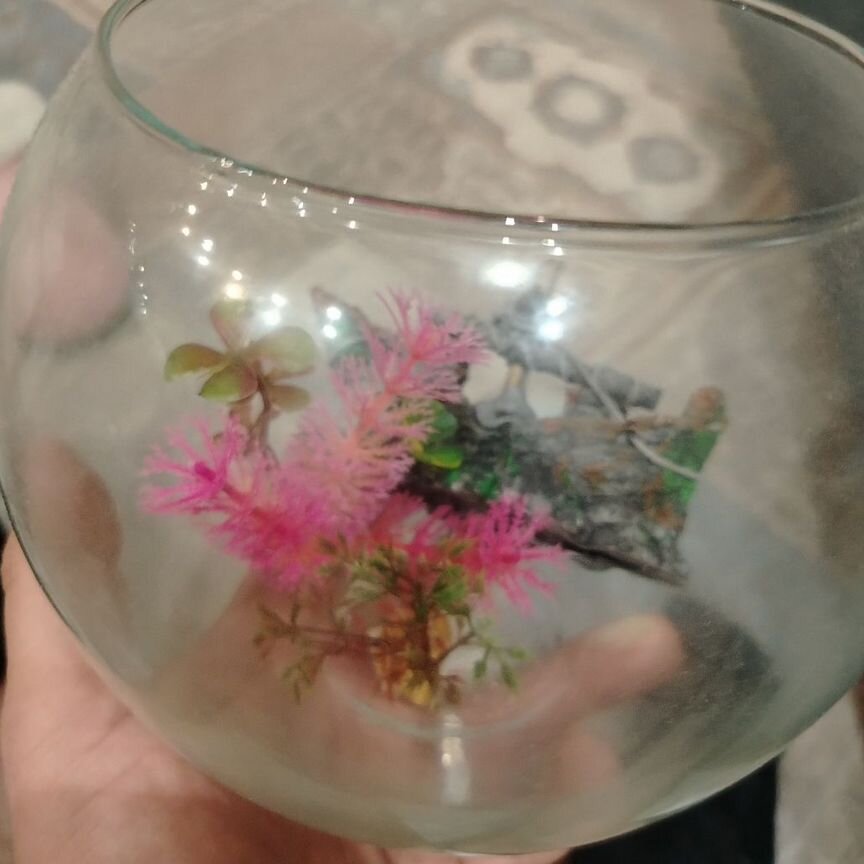 Аквариум круглый для маленькой рыбки