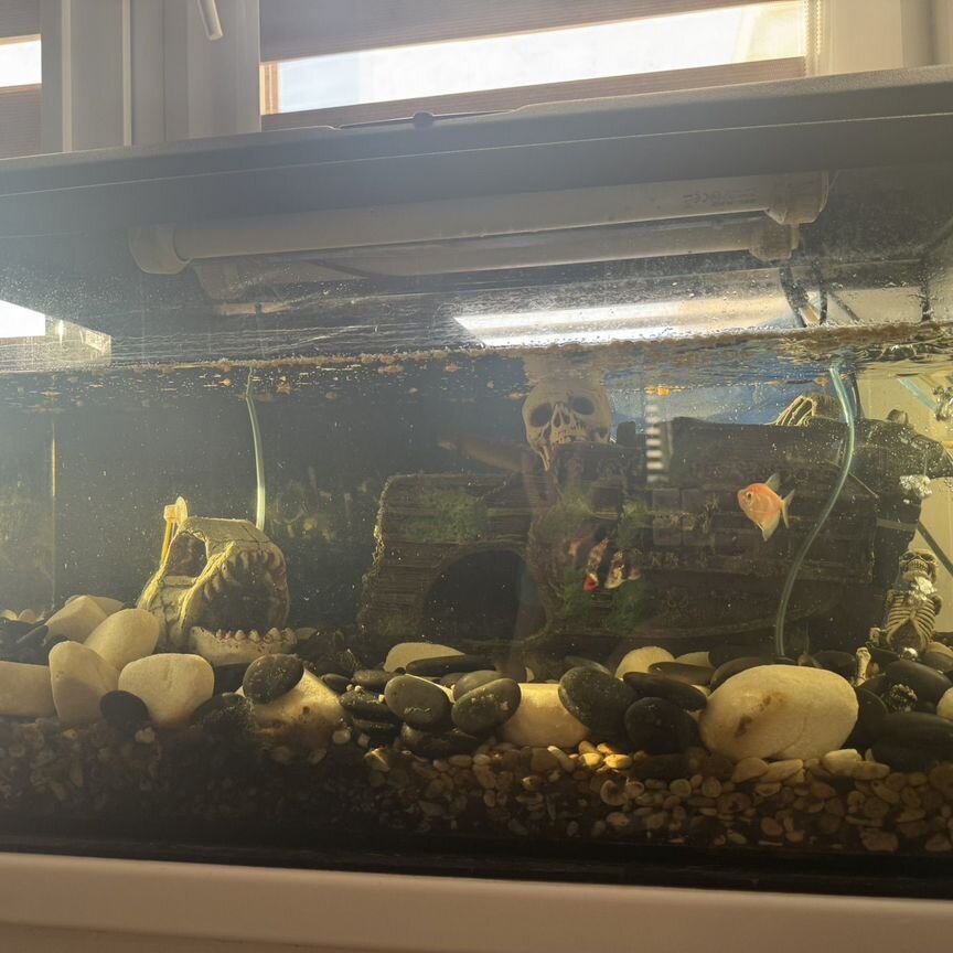 Продам аквариум, самовывоз