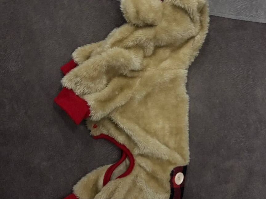 Одежда для питомца