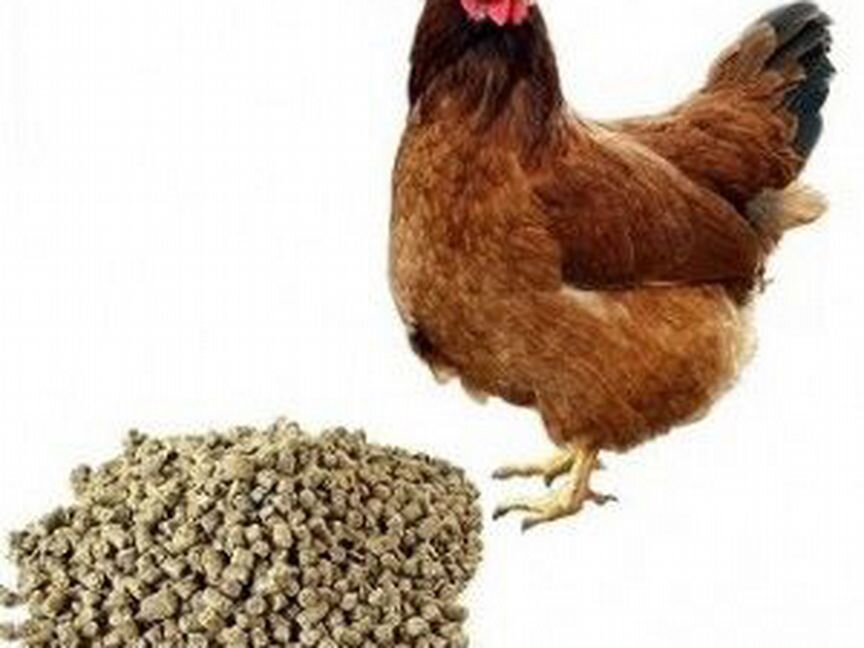 Комбикорм пк1-1 д кур от 21 до 47 нед(Гатчина), 5к