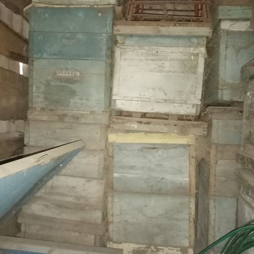 Ульи для пчел